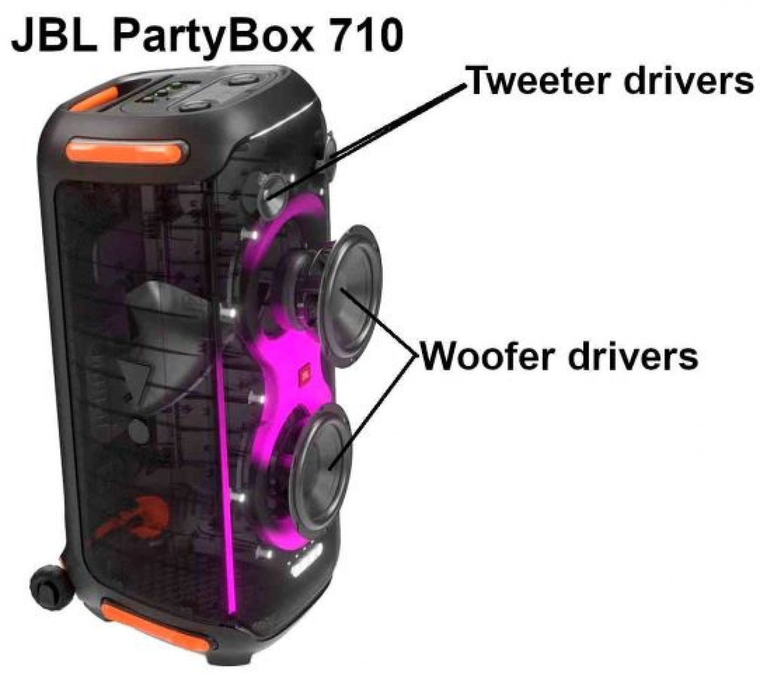JBL PartyBox 710 vs 1000: Beast Speakers! Which To Buy?